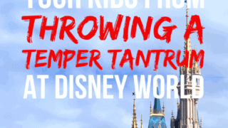 Disney World Info You Need To Read To Have an Amazing Vacation ...