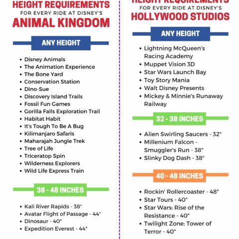 Disney Height Requirements for Every Single Ride at WDW - FREE ...