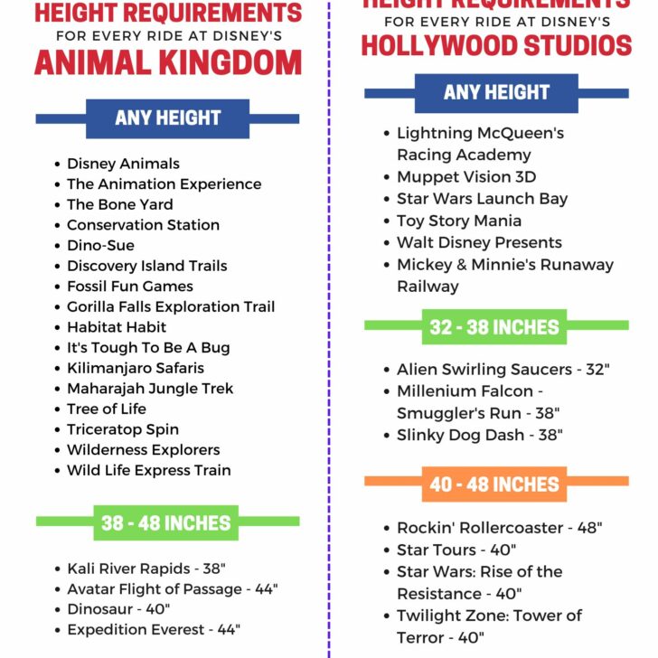 Disney Height Requirements for Every Single Ride at WDW - FREE ...