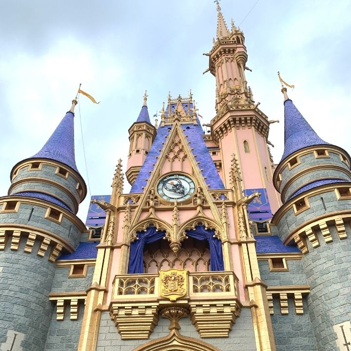 Disney VIP Tours: The Ultimate Disney Splurge - Chaotically Yours