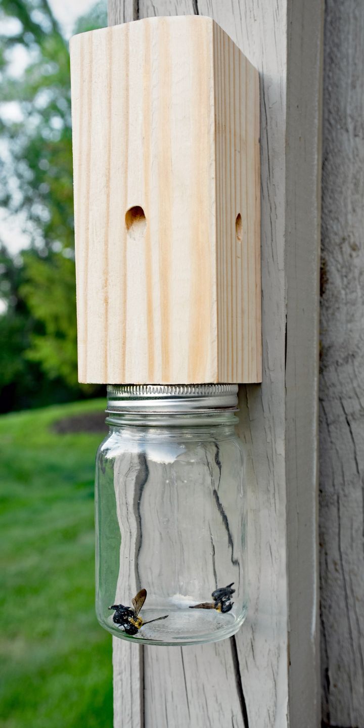 Carpenter Bee Traps: How To DIY Your Own - Chaotically Yours
